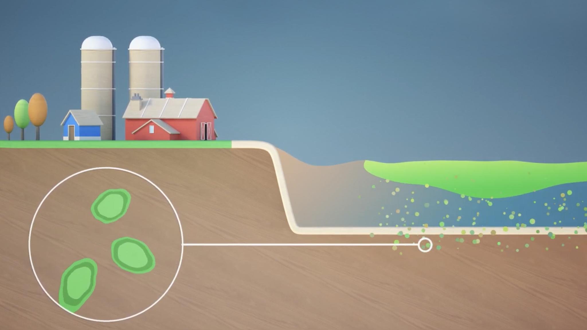 Clean Water Commitment. Reducing Phosphorus Pollution in Lake Champlain.